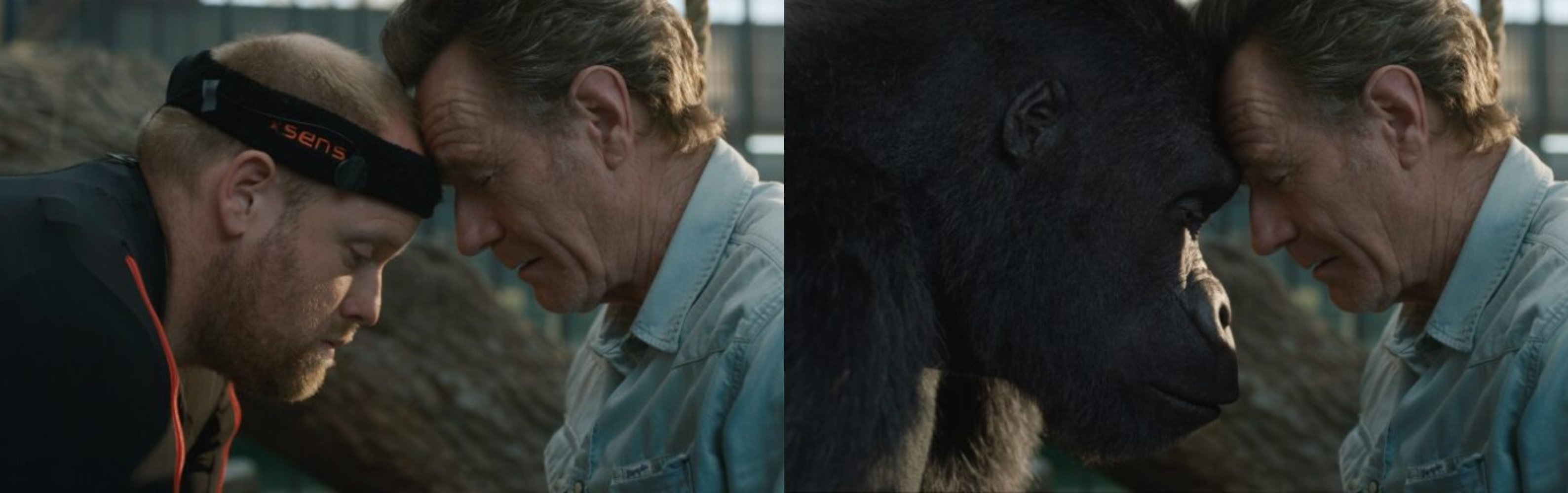 Xsens Motion Capture for The One and Only Ivan